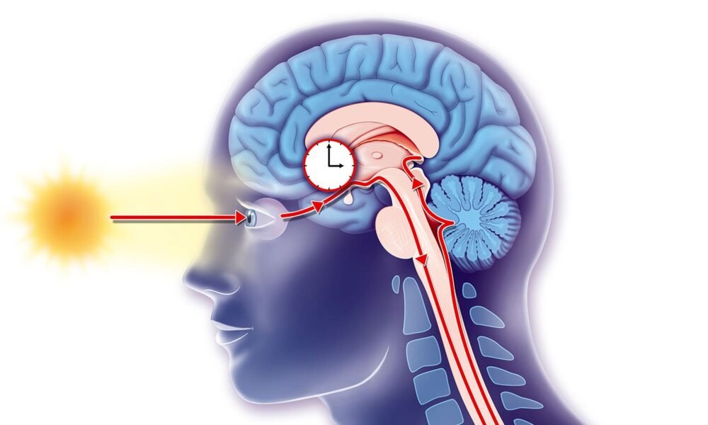 Cluster Headache, Migraine Linked to Circadian Arrangement - Level Up ...