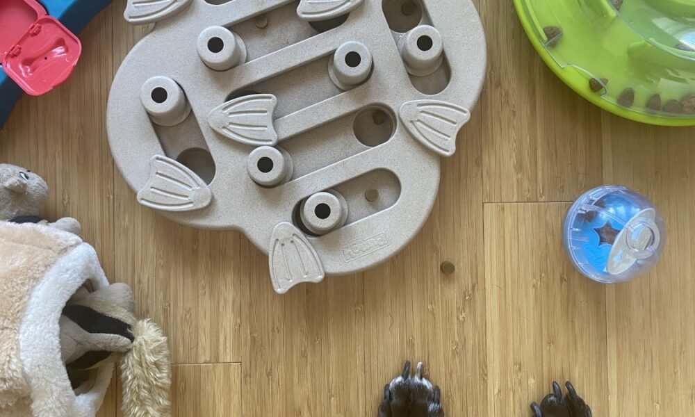 The most easy dog puzzles to bear your pup and abet them mentally ...