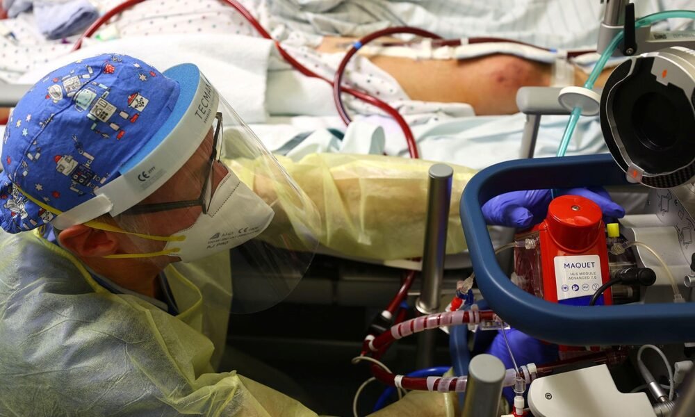 ECMO Remedy Out of Attain for Loads of Socioeconomic Groups - Level Up ...