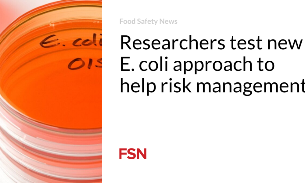 Researchers test new E. coli design to back risk management - Level Up ...